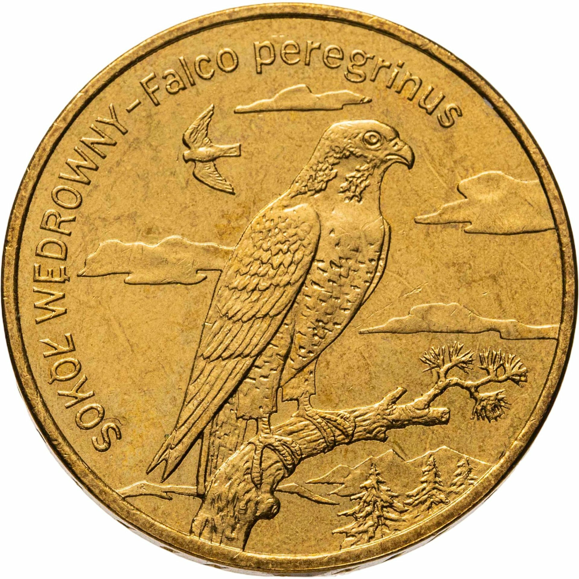 Польша 2 злотых zlote 2008 Всемирная природа - Сапсан, Латунь, в сохранности UNC