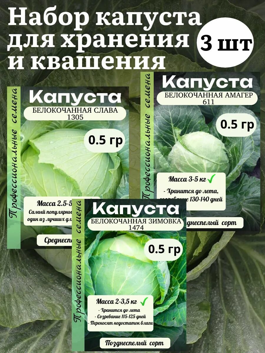Семена капусты набор для хранения и квашения 3 шт(А, С, З)