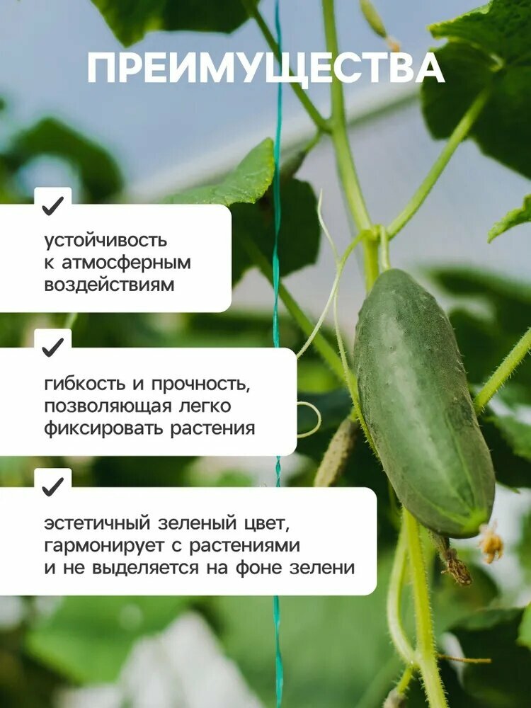 Подвязка для растений — фото 1