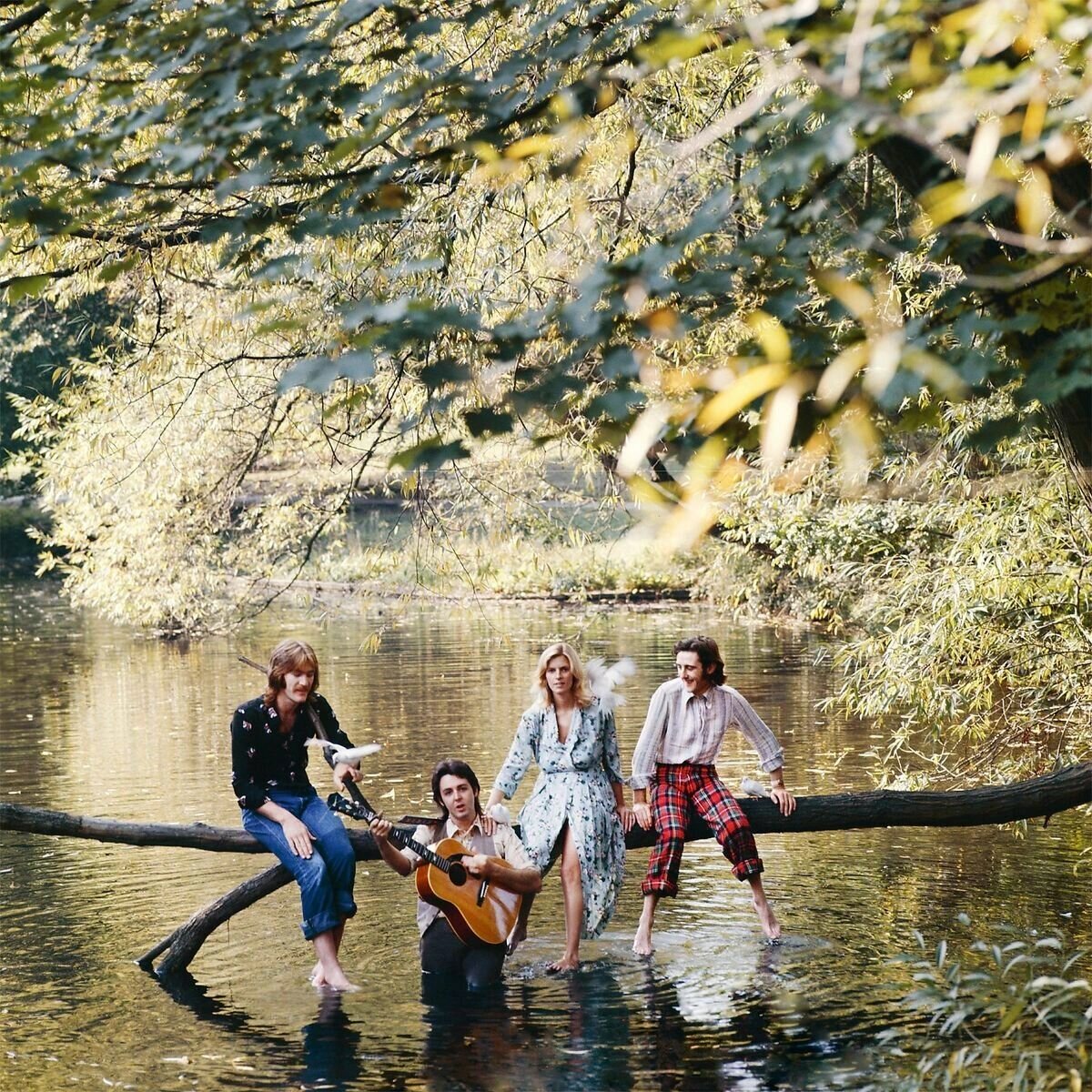 Paul McCartney: Wild Life (LP, Half Speed Mastering) Виниловая пластинка