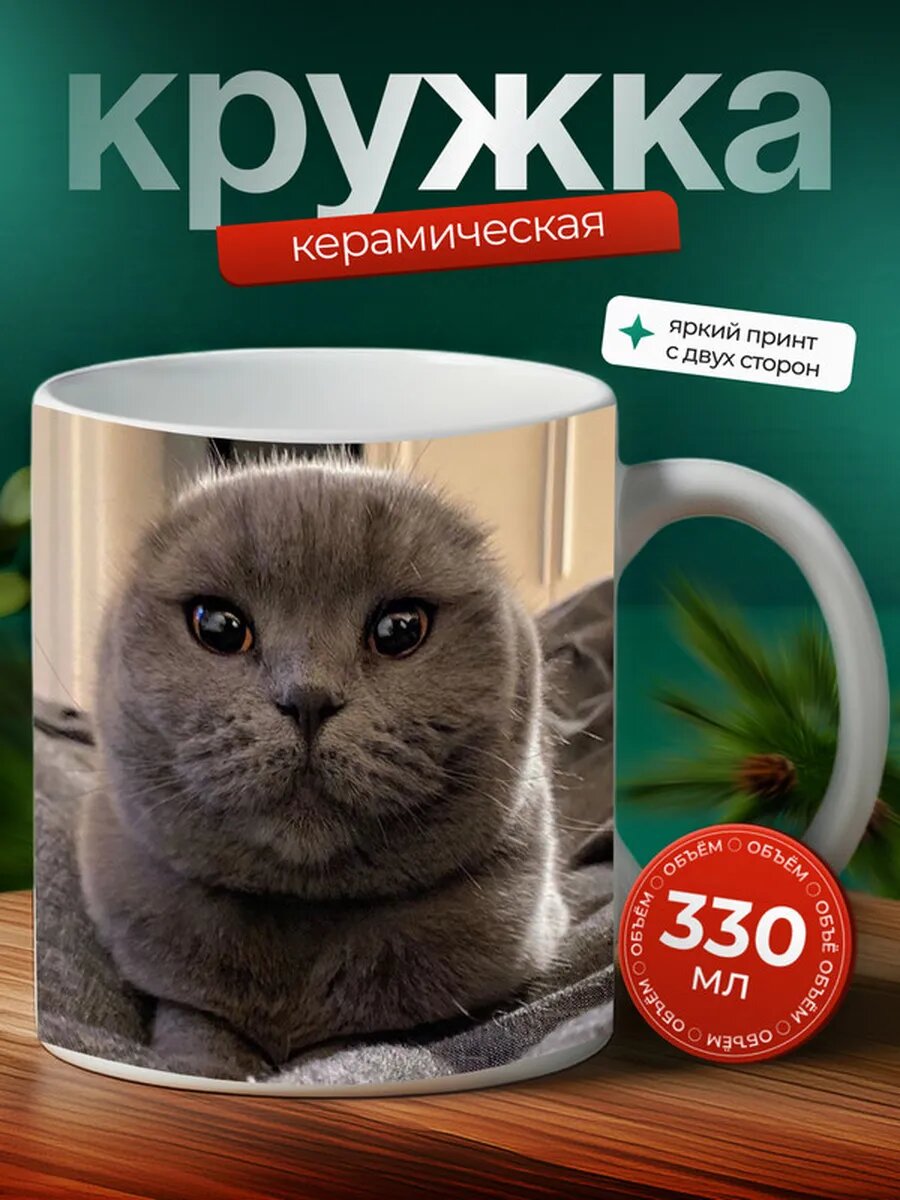 Кружка Мадридский гранд кот 10,