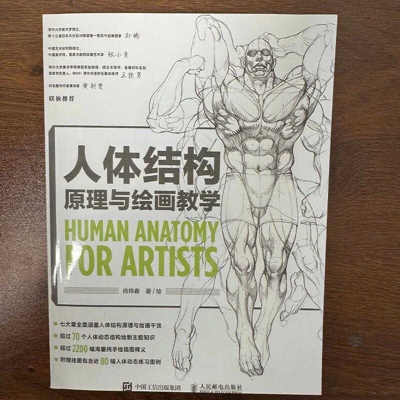 Профессиональная книга для рисования анатомии человека для художников, принципы структуры тела, 80-позиционные направляющие