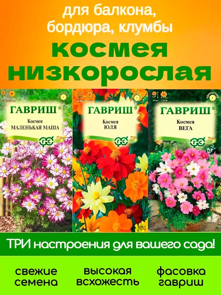 Космея семена низкорослая набор 3 пакета