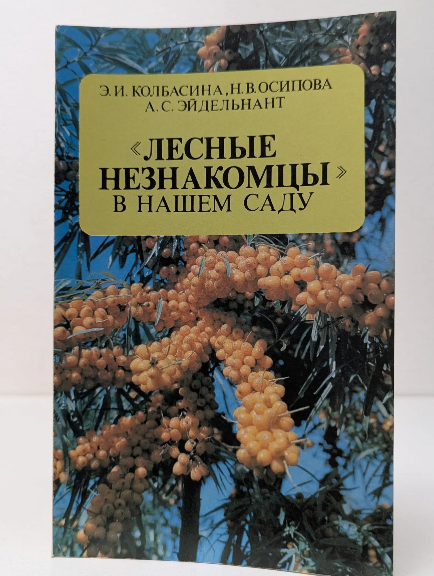 Лесные незнакомцы в нашем саду Колбасина Элла Иогановна, Осипова Н. В, Эйдельнант Александр Савельевич 1988