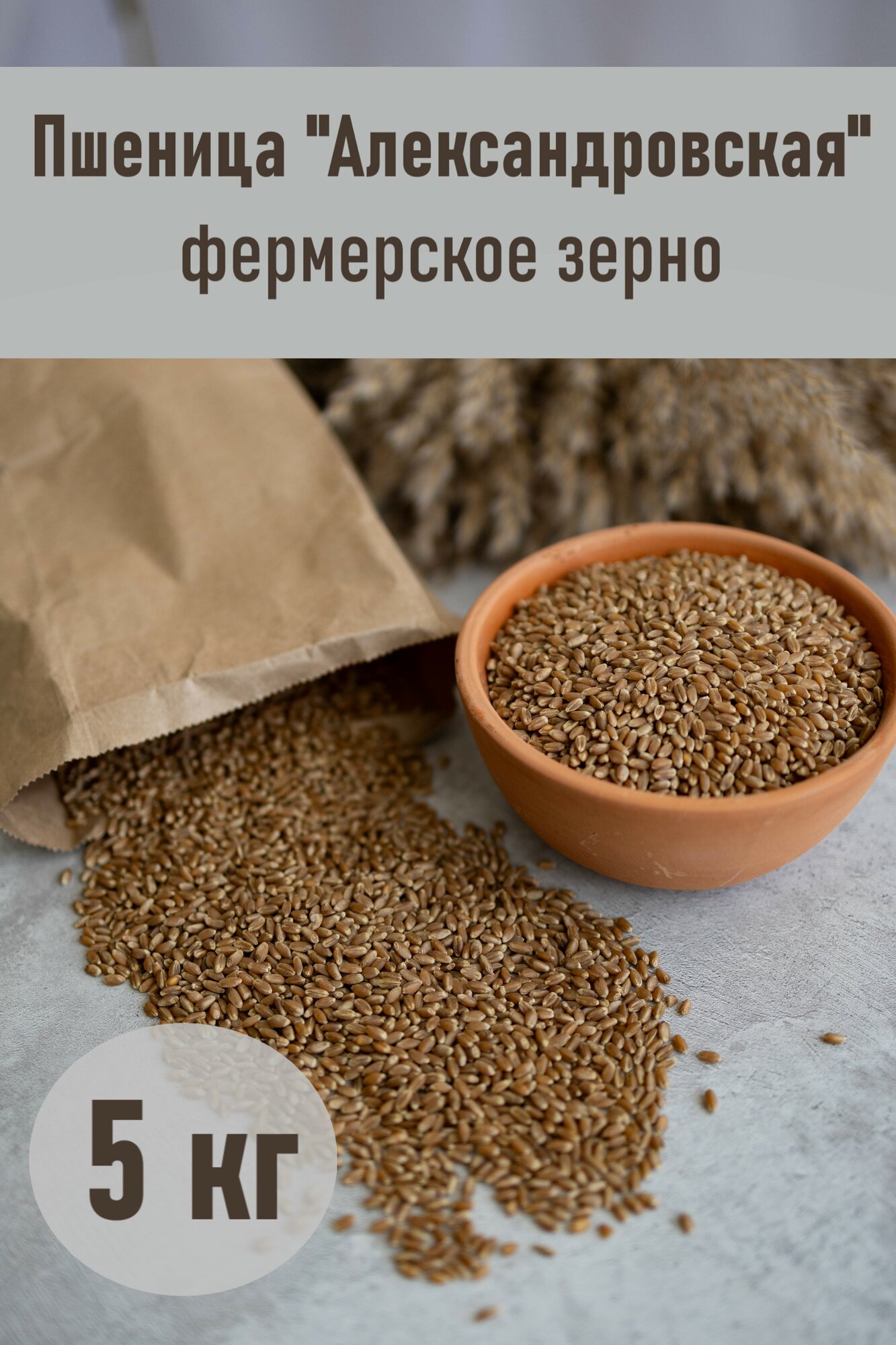 Пшеница "Александровская", зерно фермерское, фасовка 5 кг, свежий урожай