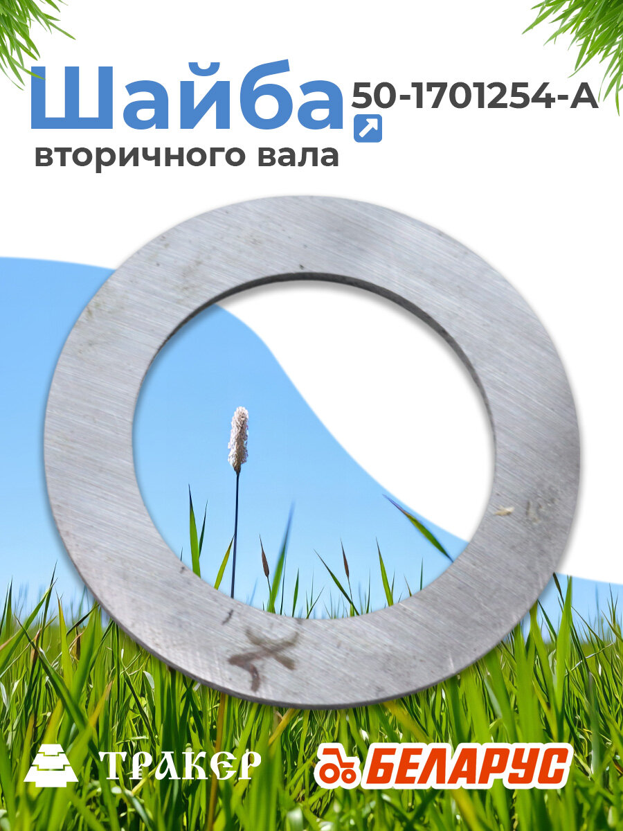 Шайба 50-1701254-А вторичного вала (РУП МТЗ)