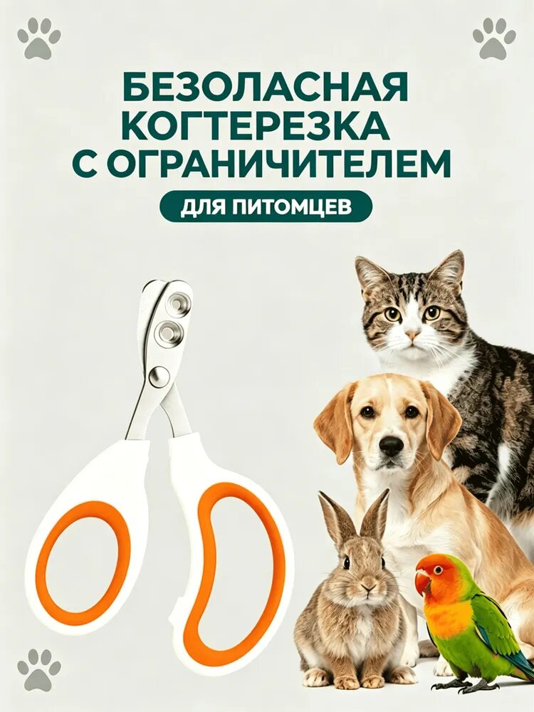 Игрушки Для Кошек, ножницы Для Когтей Кошек