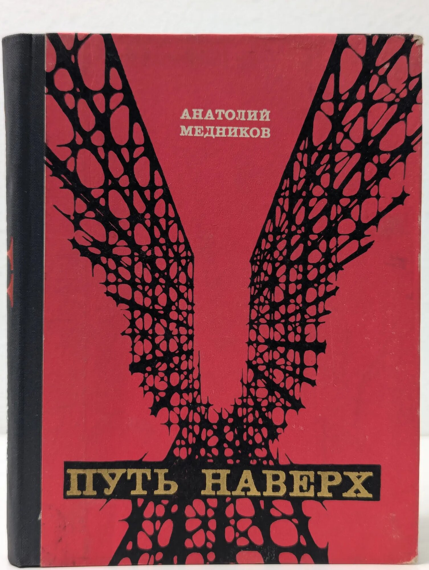 Путь наверх Медников Анатолий Михайлович 1971