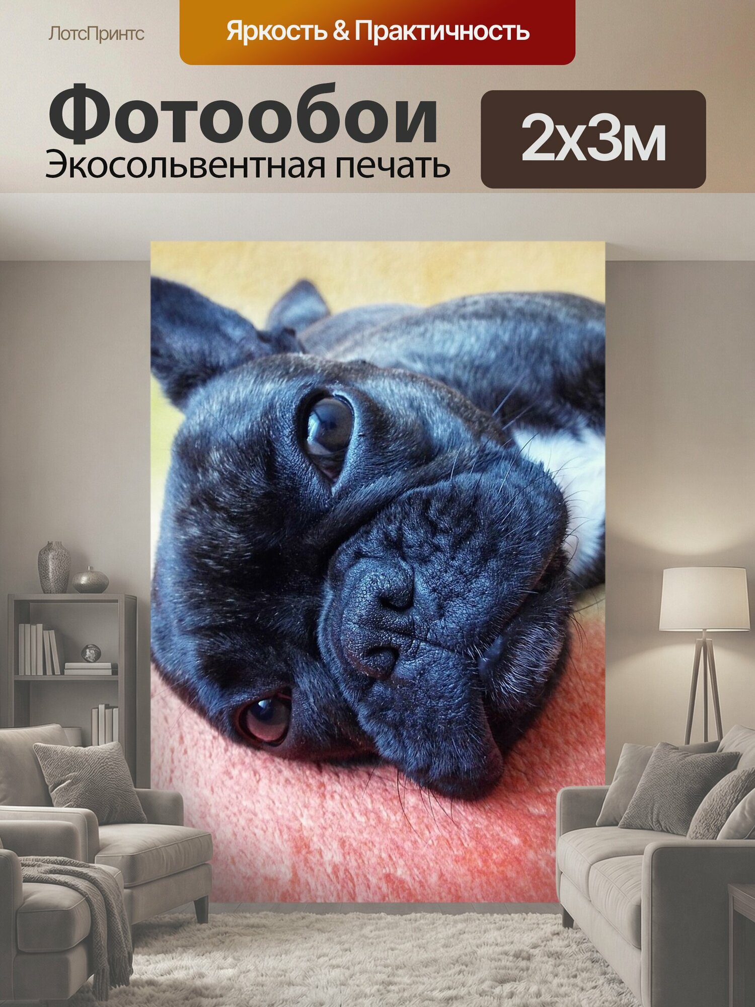 Фотообои "Собака, французский бульдог, усталость" 200x300 см. экосольвентная печать