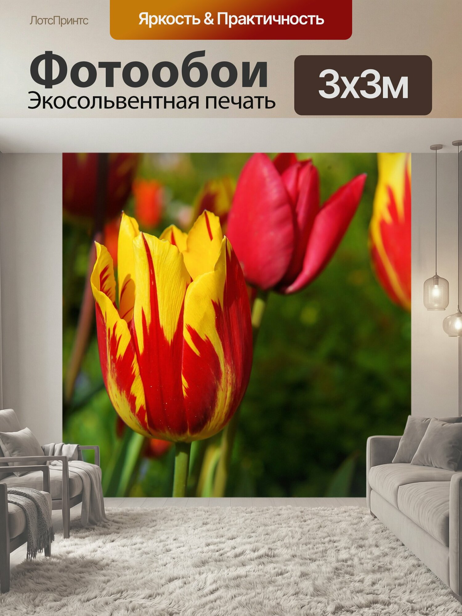 Фотообои "Цвести, тюльпан, красный желтый" 300x300 см. экосольвентная печать