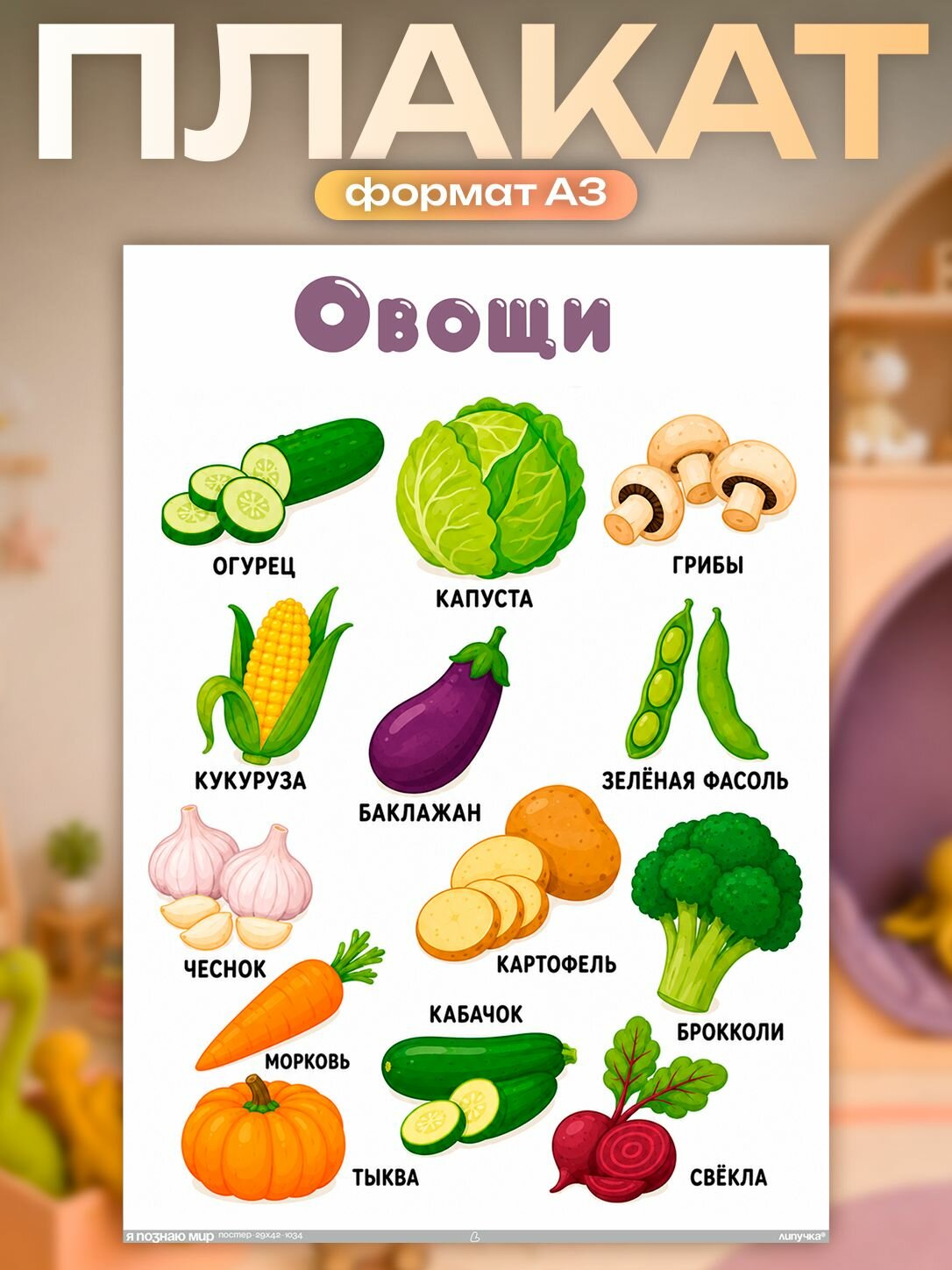 Постеры развивающие Овощи А3