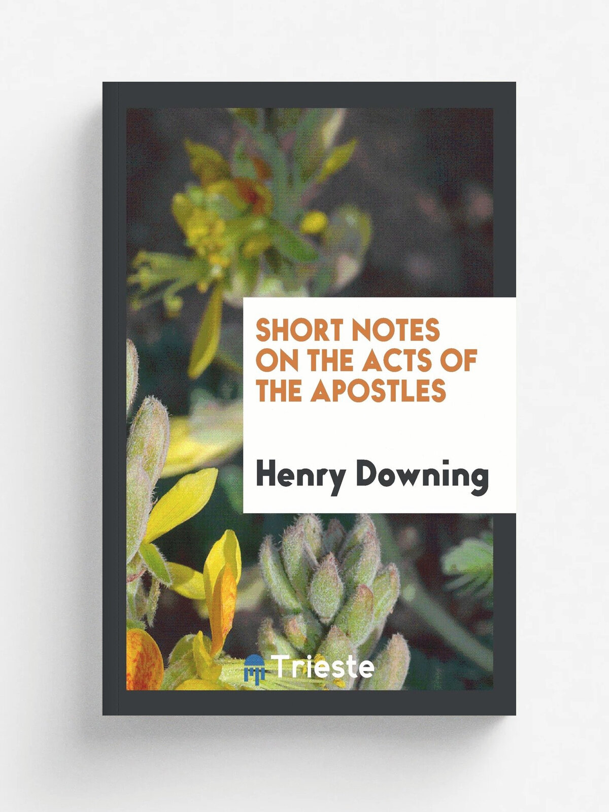 Short notes on the Acts of the Apostles