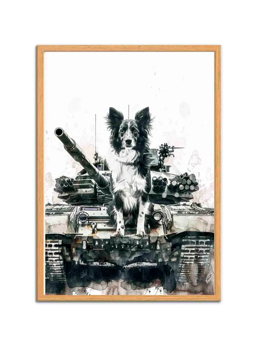 Бордер-колли, собака-солдат 1, Плакат 30x42см