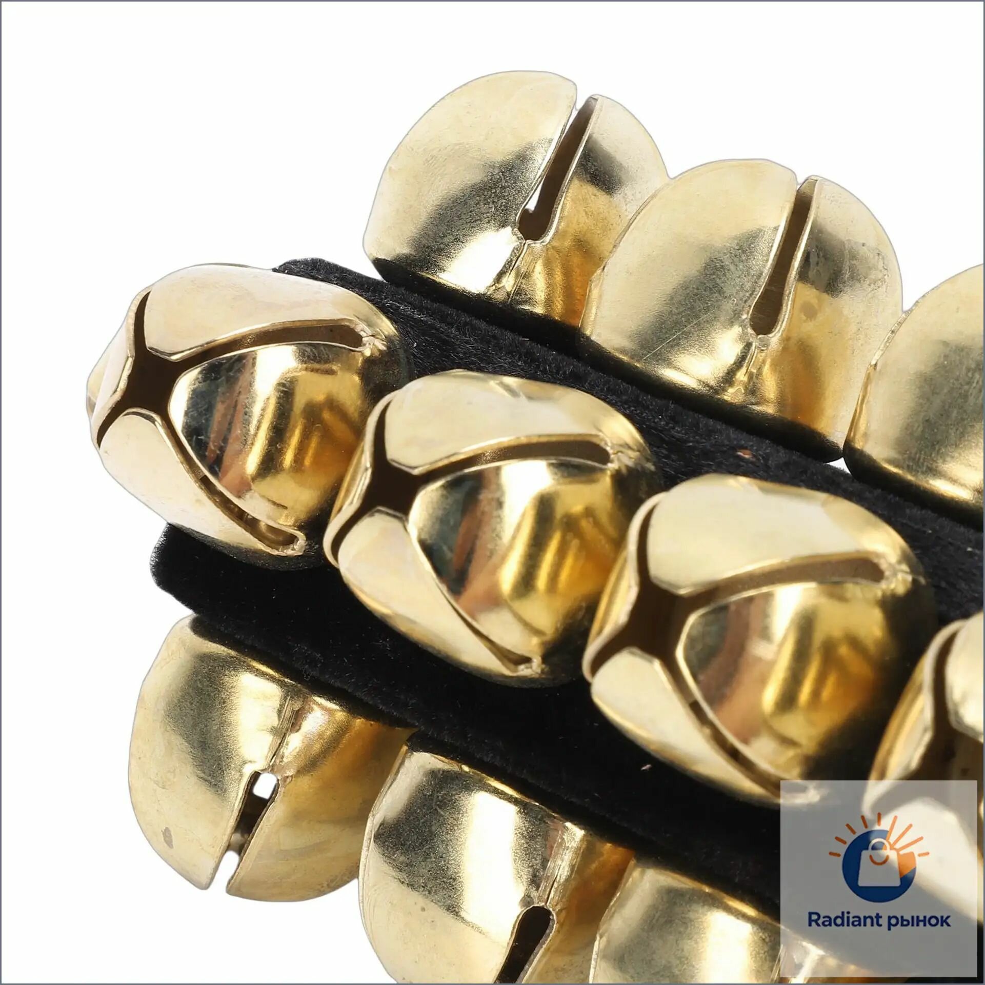 Сани