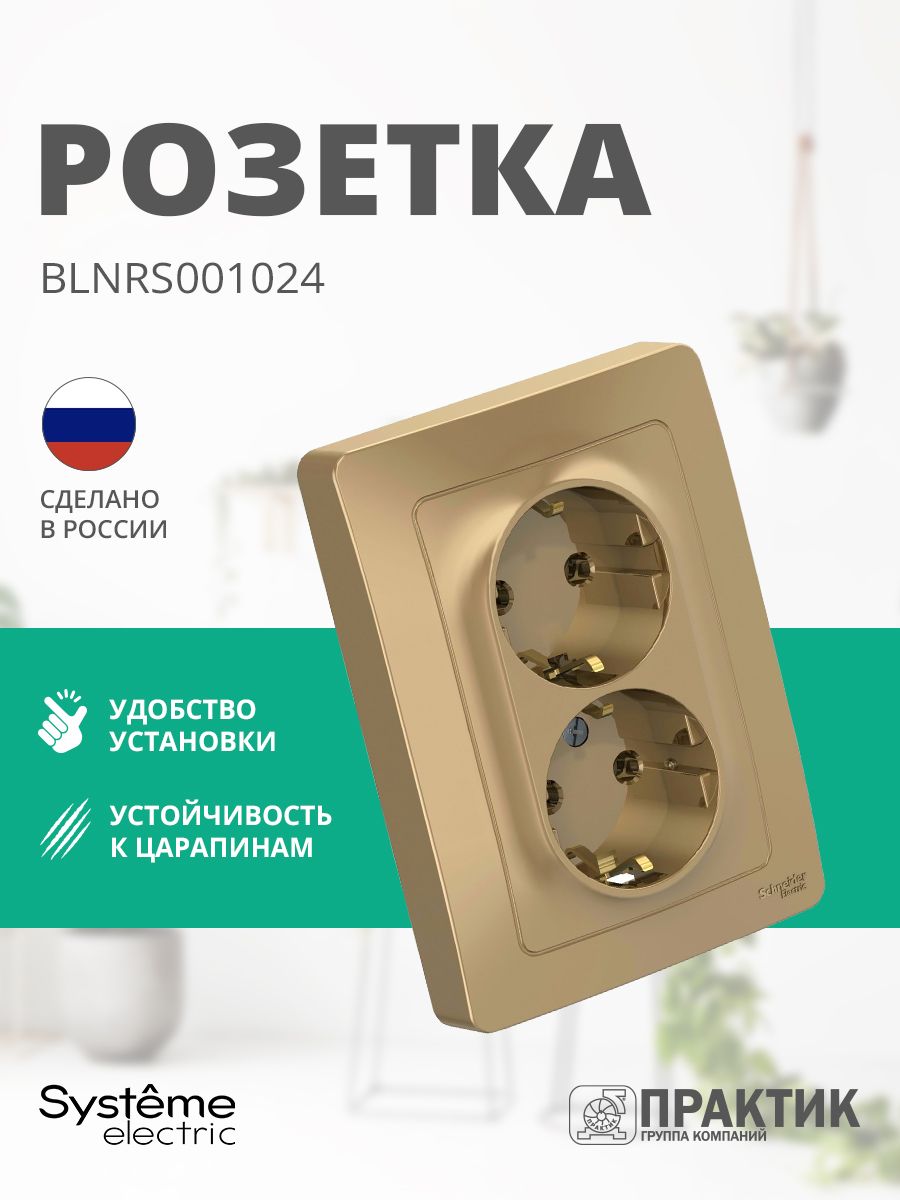 Розетка двойная Blanca Systeme Electric с заземлением без шторок Титан BLNRS001024