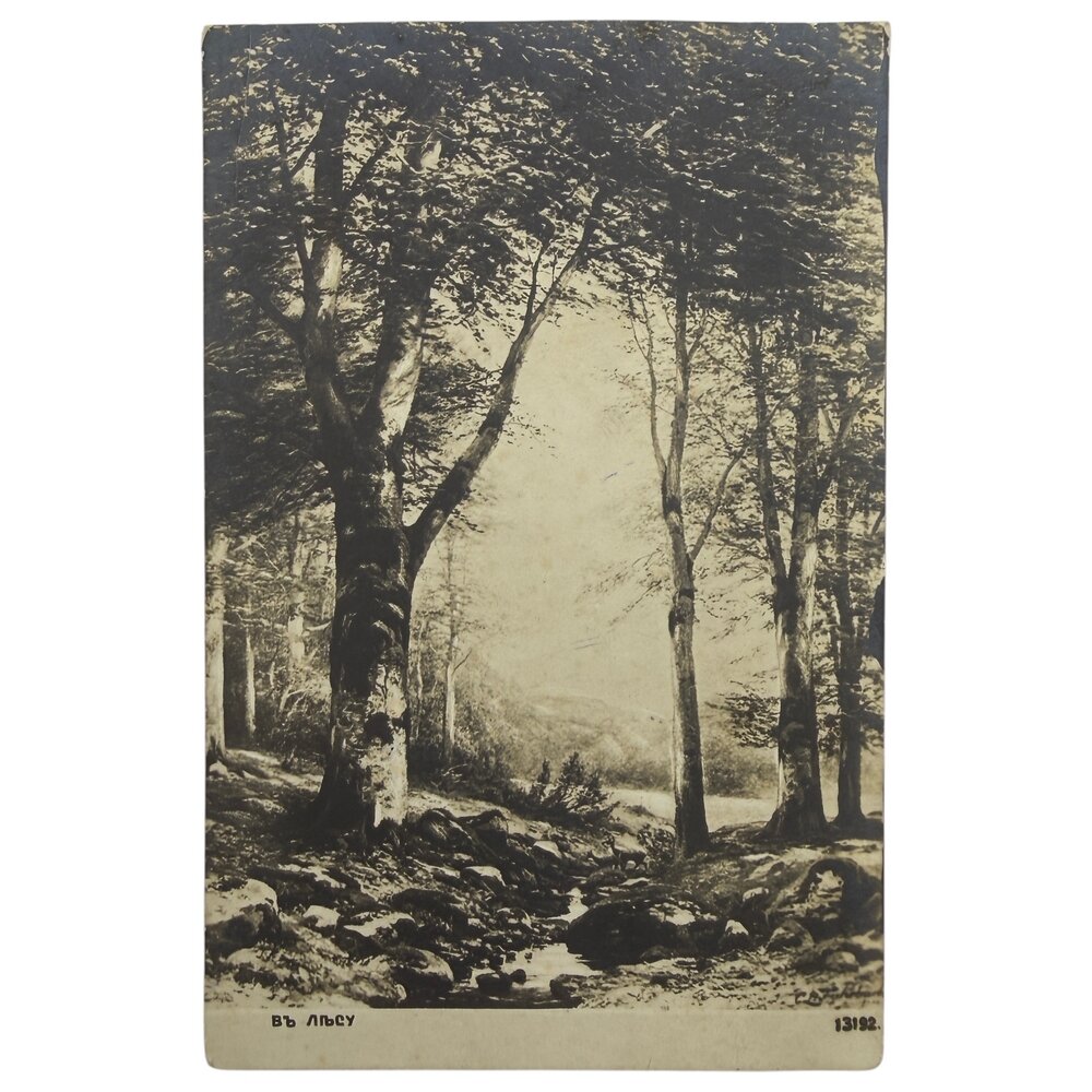 Почтовая открытка "В лесу" 1900-1917 гг. Российская Империя