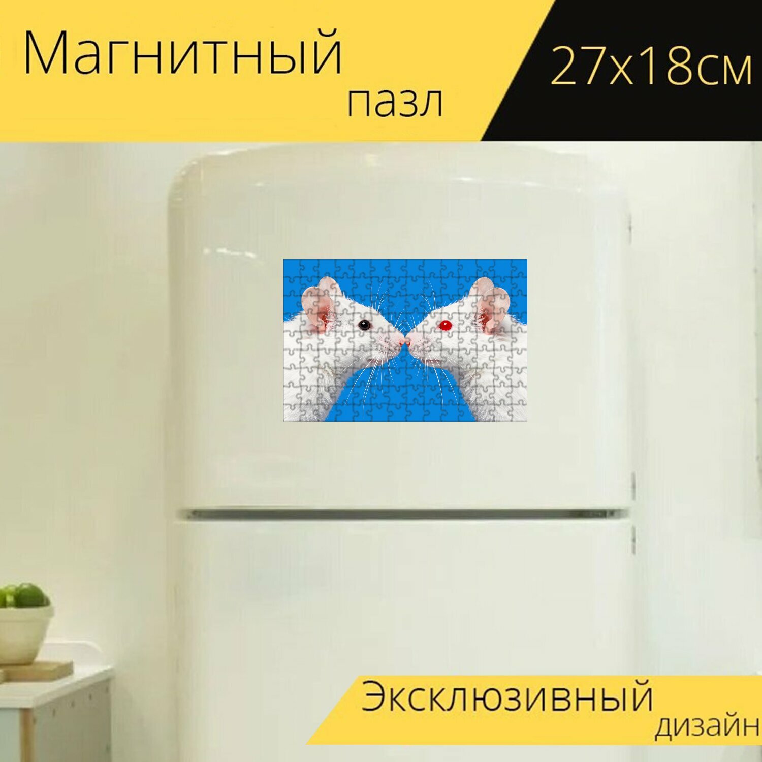 Магнитный пазл "Две белые мыши нос к носу. Парные белоснежные грызуны в крупном плане, один с черным глазом, другой с красным, на ярком синем фоне." на холодильник 27 x 18 см.