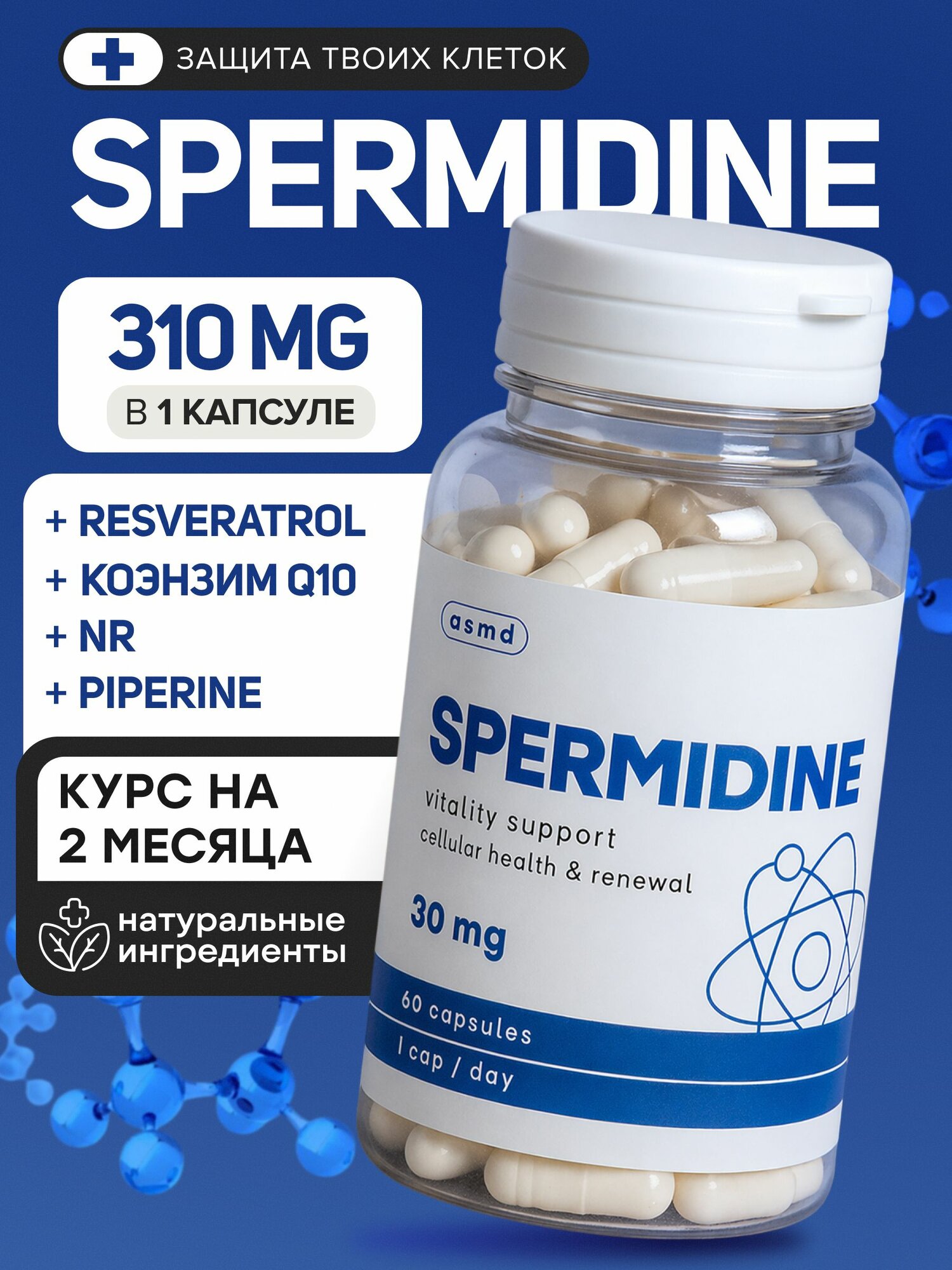 Spermidine + Ресвератрол + Коэнзим Q10