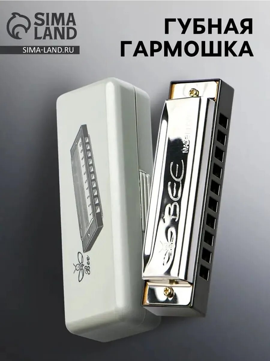 Профессиональная диатоническая гармошка с футляром