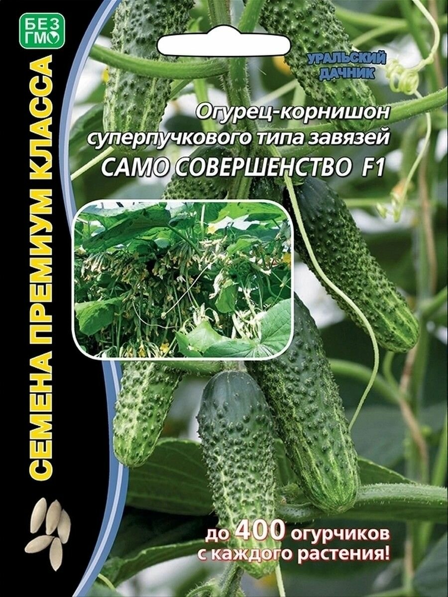 Семена огурца Уральский Дачник "Само совершенство", премиум-класс, 1 упаковка, 5 семян