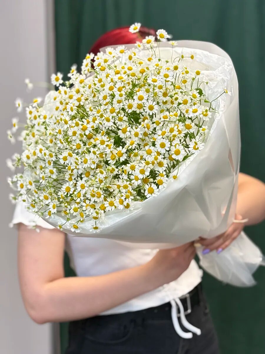 Монобукет из ромашек "Солнечные лучи", в пленке, диаметр 35см, 11 цветков, высота 40см