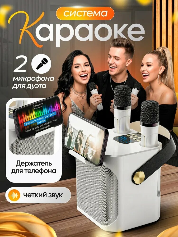 Караоке система с двумя микрофонами для дома / колонка с беспроводным микрофоном