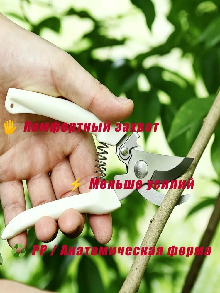 Секатор