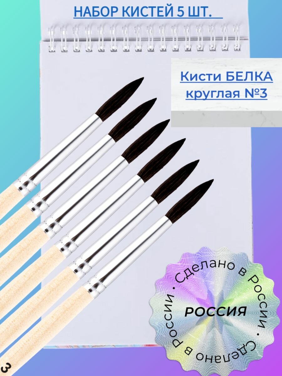 Набор кистей белка 5шт: белка 3 россия для рисования/акварели/гуаши/в школу, детский сад