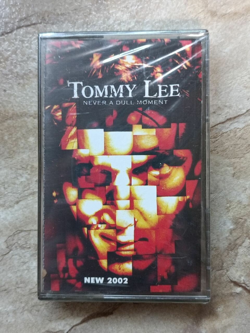 Tommy Lee Never A Dull Moment