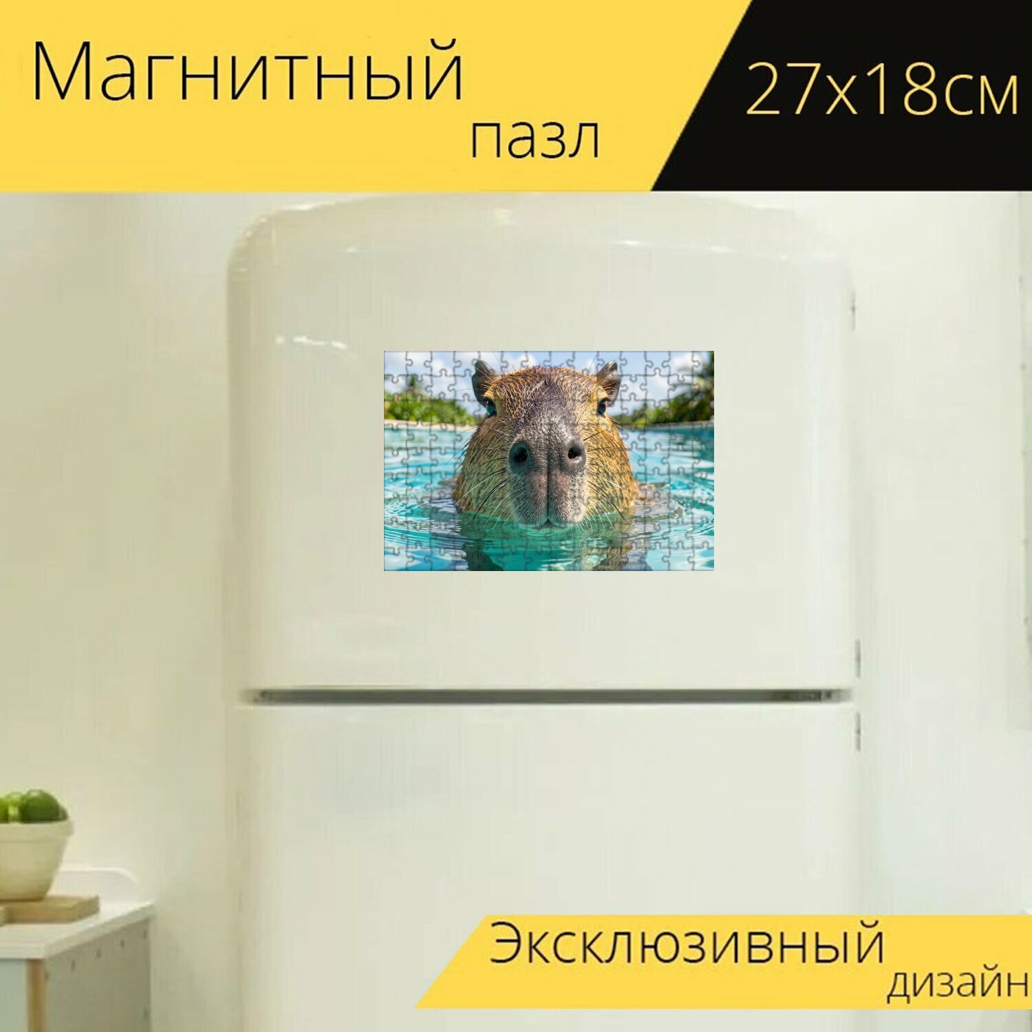 Магнитный пазл "Смешная капибара в тропиках. Очаровательный зверёк по шею в бирюзовой глади, крупный план, солнечный день, голубое небо с облаками." на холодильник 27 x 18 см.