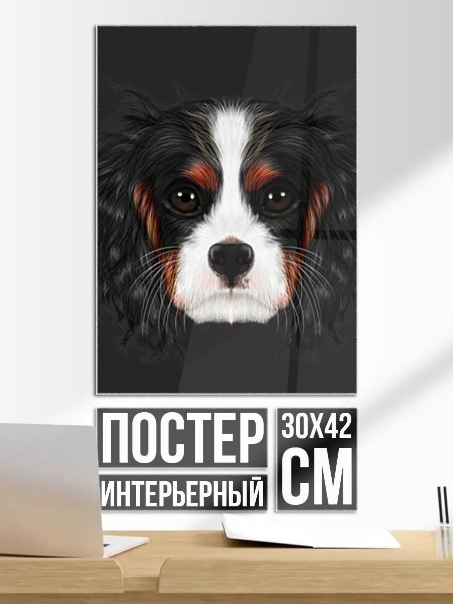 Постер на стену Cavalier King Charles