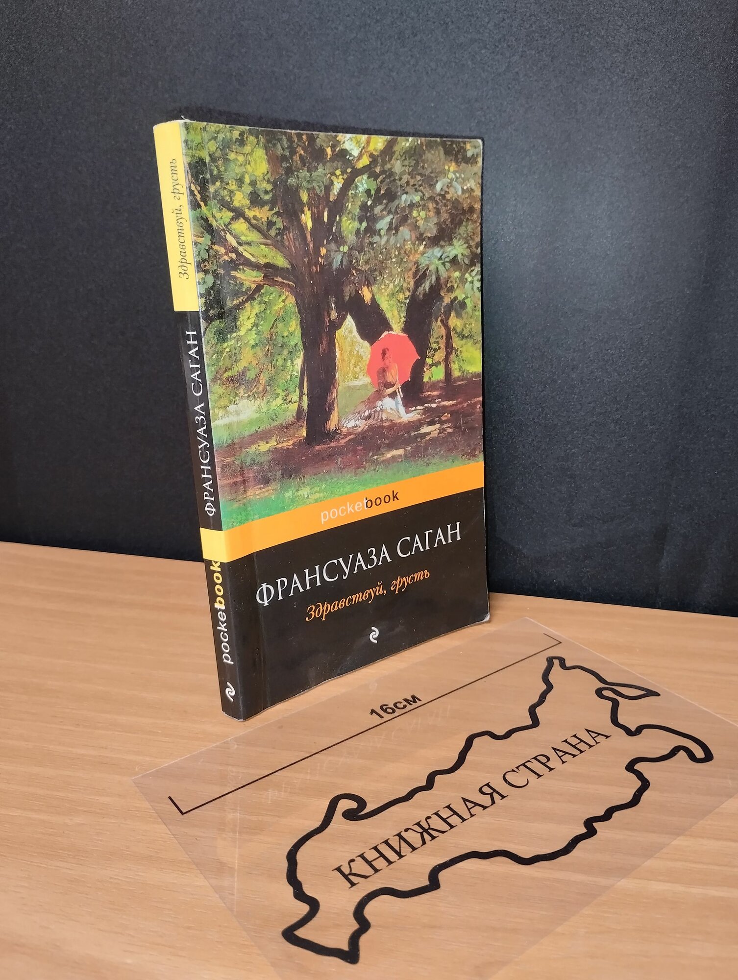 Здравствуй, грусть. Саган Франсуаза. 2010