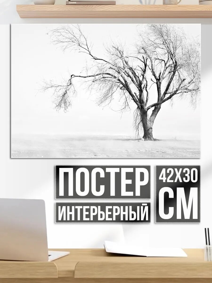 Плакат постер Зимнее дерево без листьев