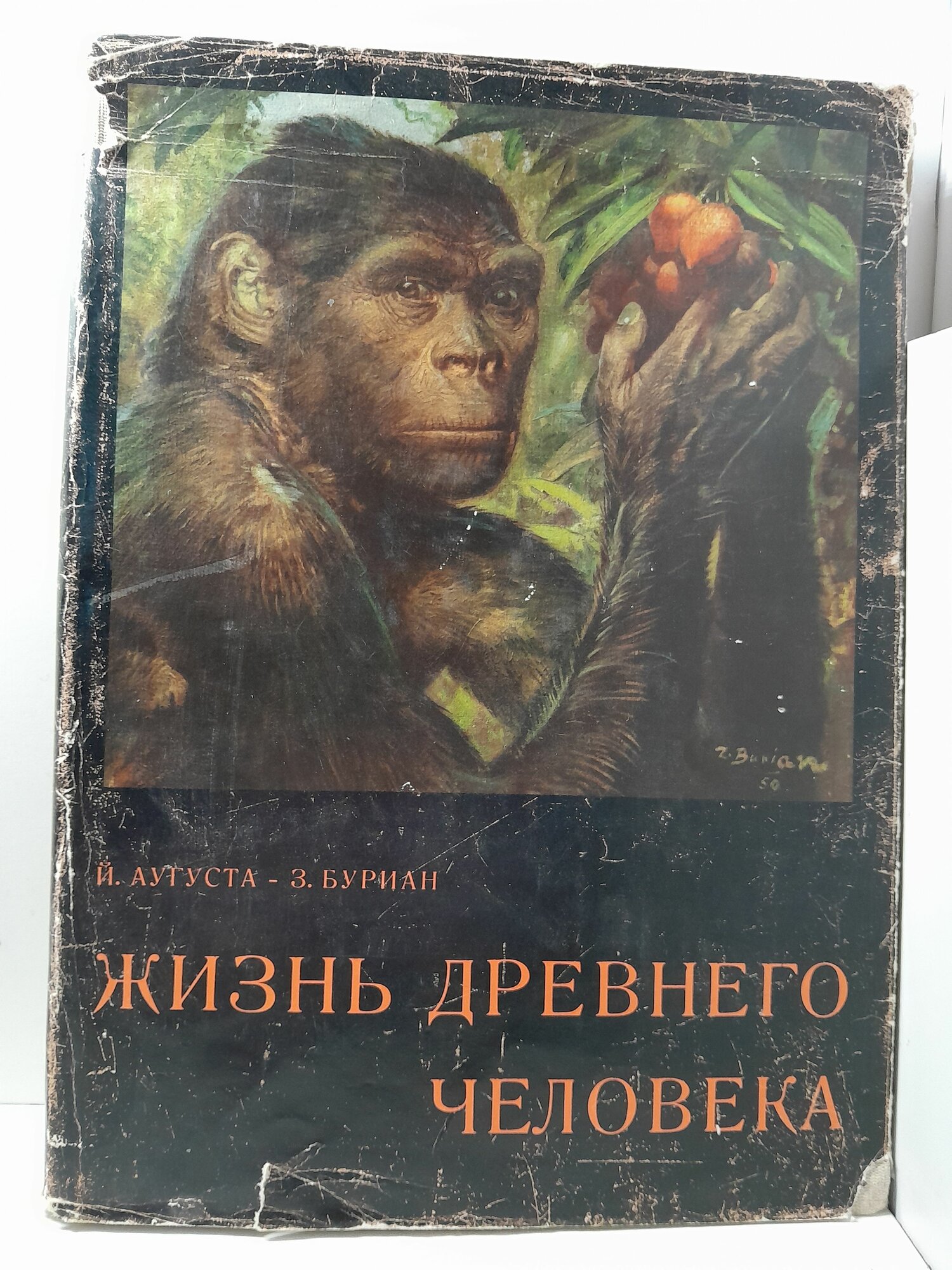Жизнь древнего человека / Аугуста Йозеф, Буриан Зденек