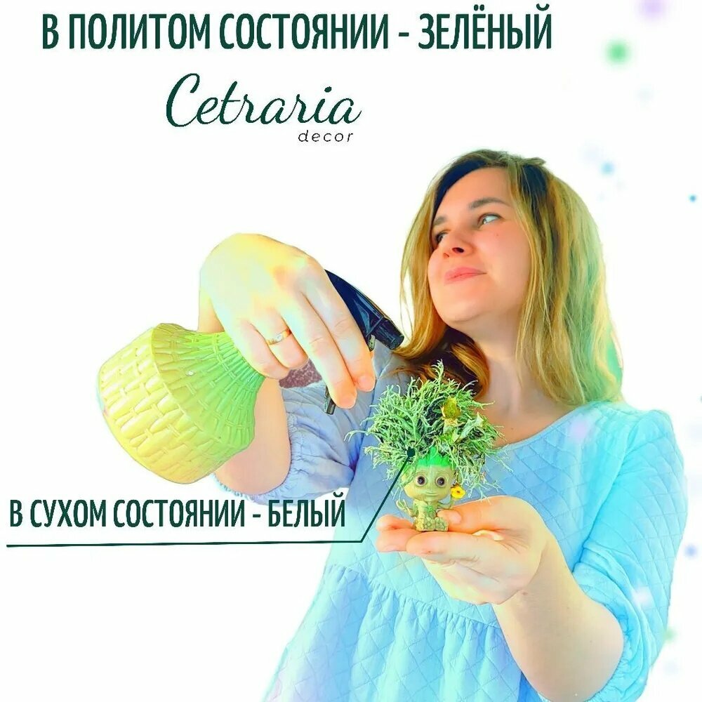 Грут, кашпо с исландским мхом цетрария / Декор для дома интерьера, подарок для девочки, подарок мальчику, 7 см