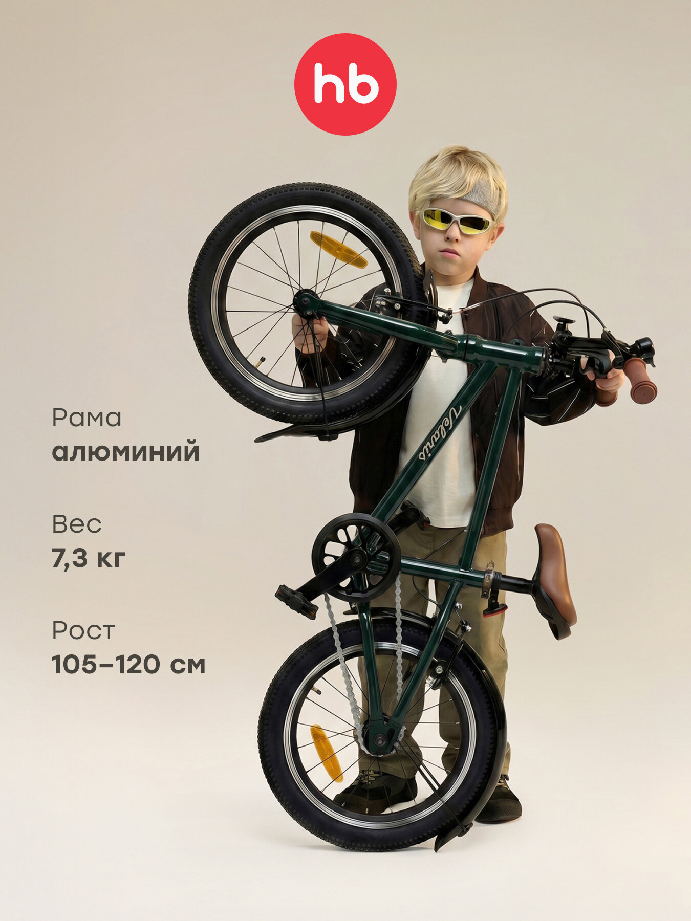 50063, Велосипед детский VELARIS, двухколесный велосипед для мальчиков и девочек, для малышей от 4 до 6 лет, зеленый