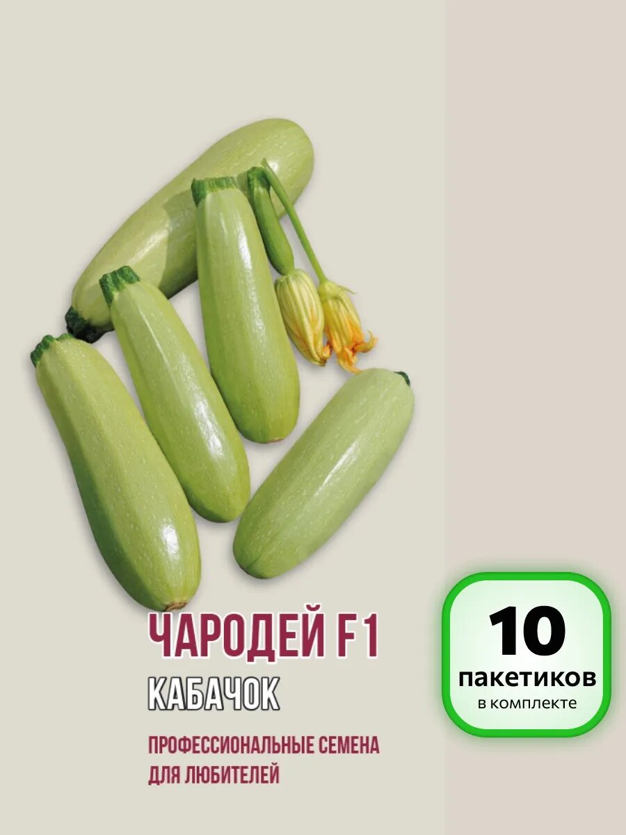 (10 шт.) - Семена Кабачок чародей F1 5шт
