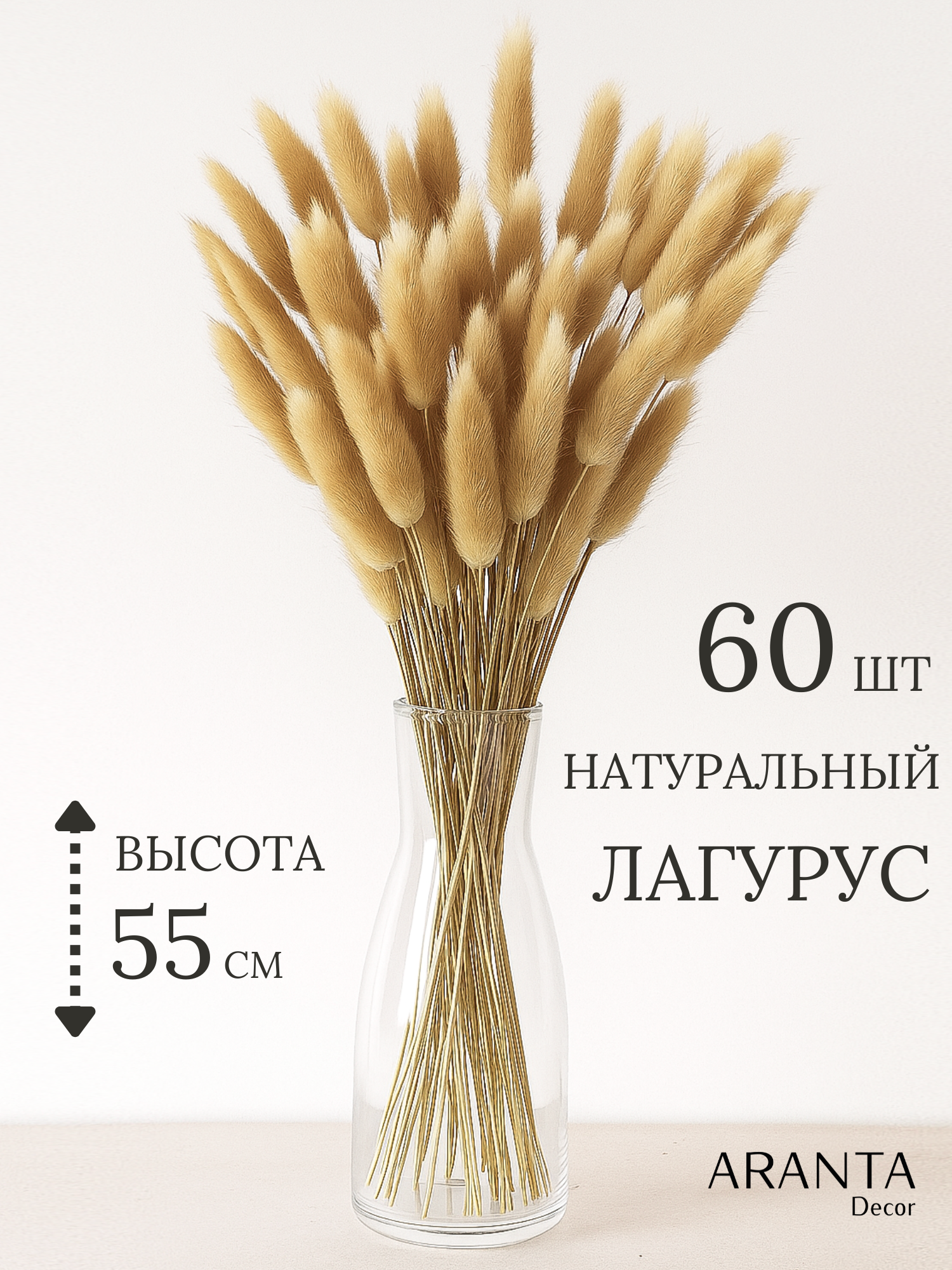 Лагурус сухоцвет натуральный 60шт, Сухоцветы для декора ARANTA, Букет 55 см