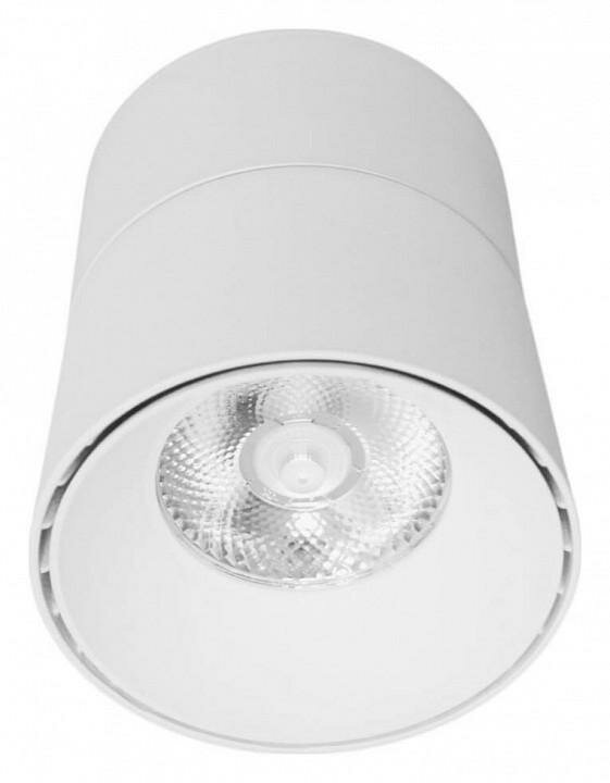 Накладной светильник LUMINA DECO Maxton LDC 8054-12W WT цвет плафона подвески Белый, цвет арматуры Белый