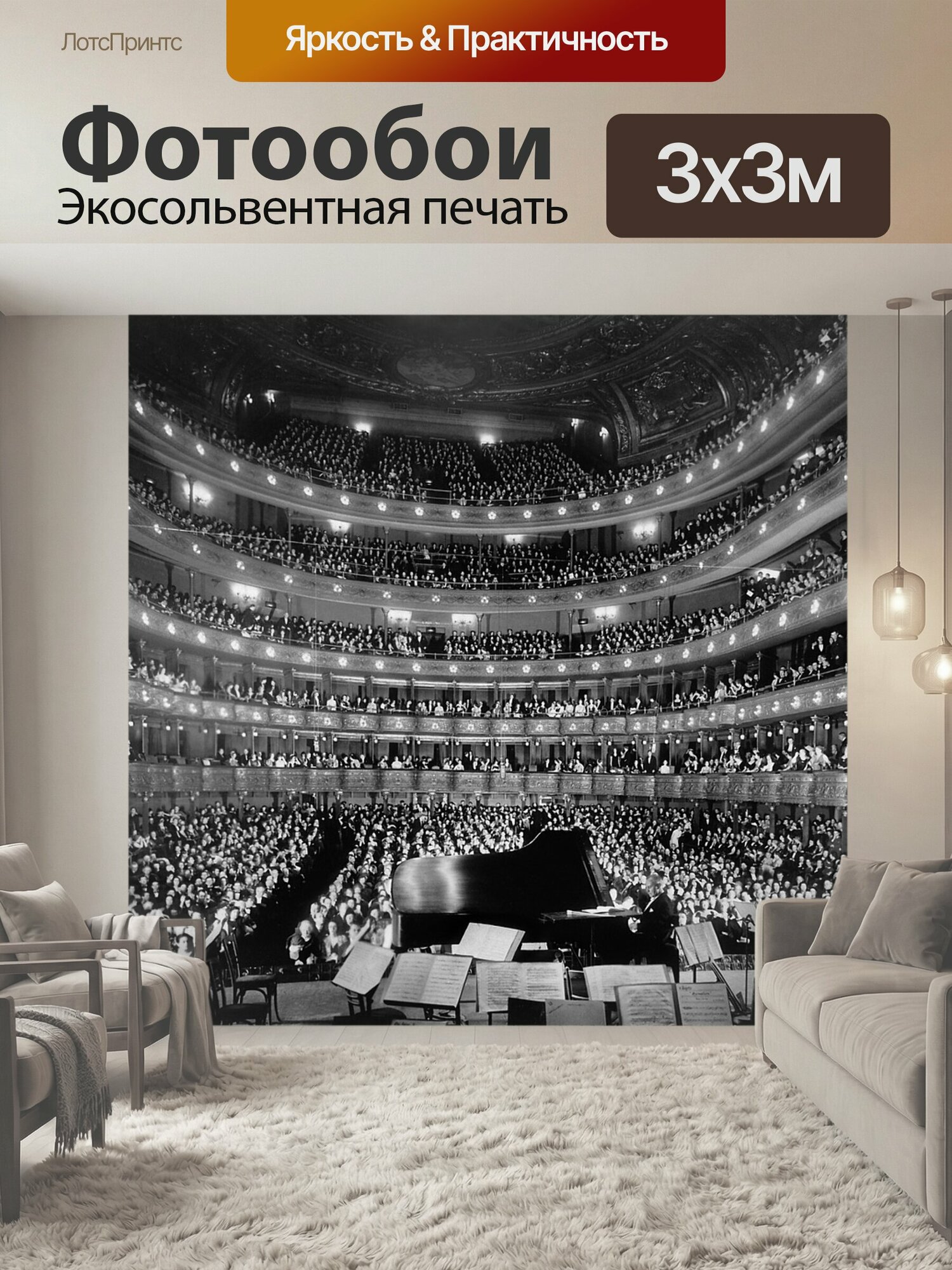 Фотообои "Опера, оперный дом, концерт" 300x300 см. экосольвентная печать