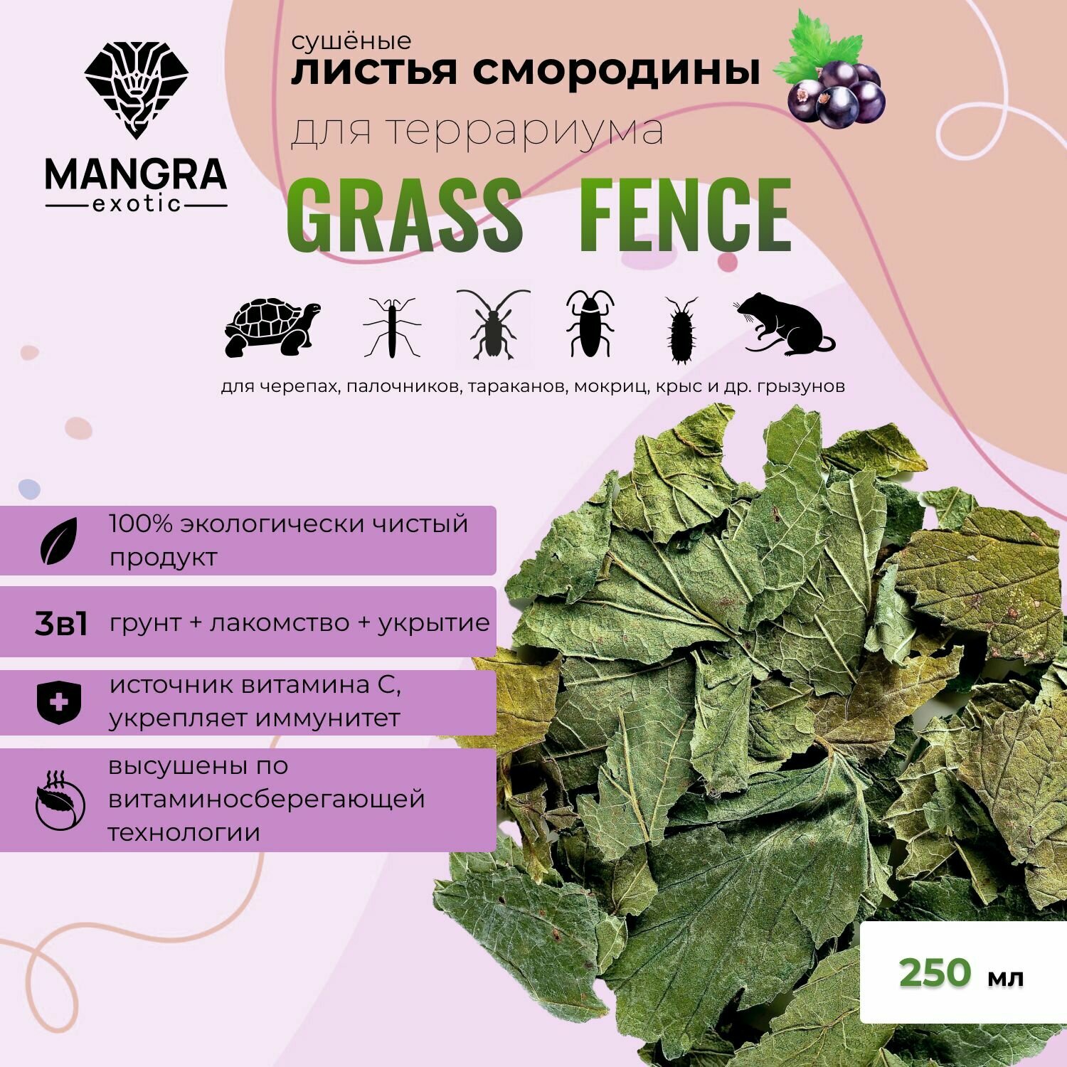 Натуральные листья черной смородины MANGRA exotic Grass Fence, сушеные, из Сибирской тайги, для террариума, 250 мл (грунт + травяное лакомство + укрытие для змей, ящериц, тараканов, насекомых)