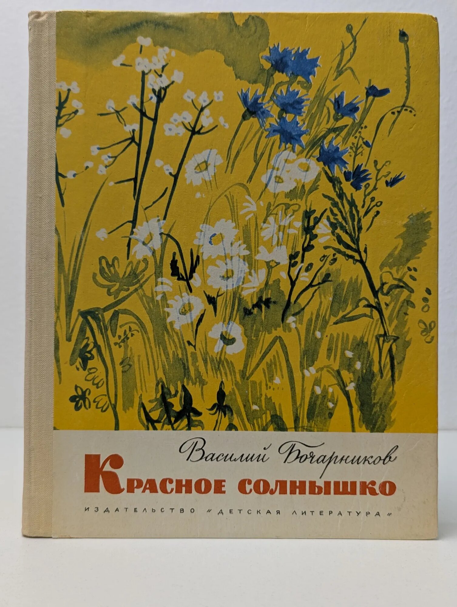 Красное солнышко Бочарников Василий Алексеевич 1973