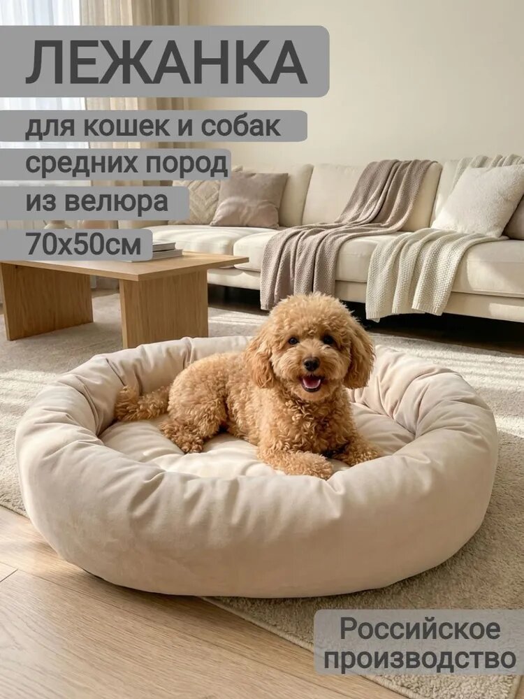 Лежанка для собак средних пород и крупных кошек 70х50 см