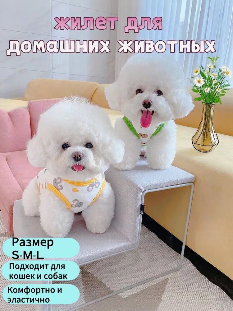 Летняя майка для собак и кошек, одежда с оборками и принтом мишки