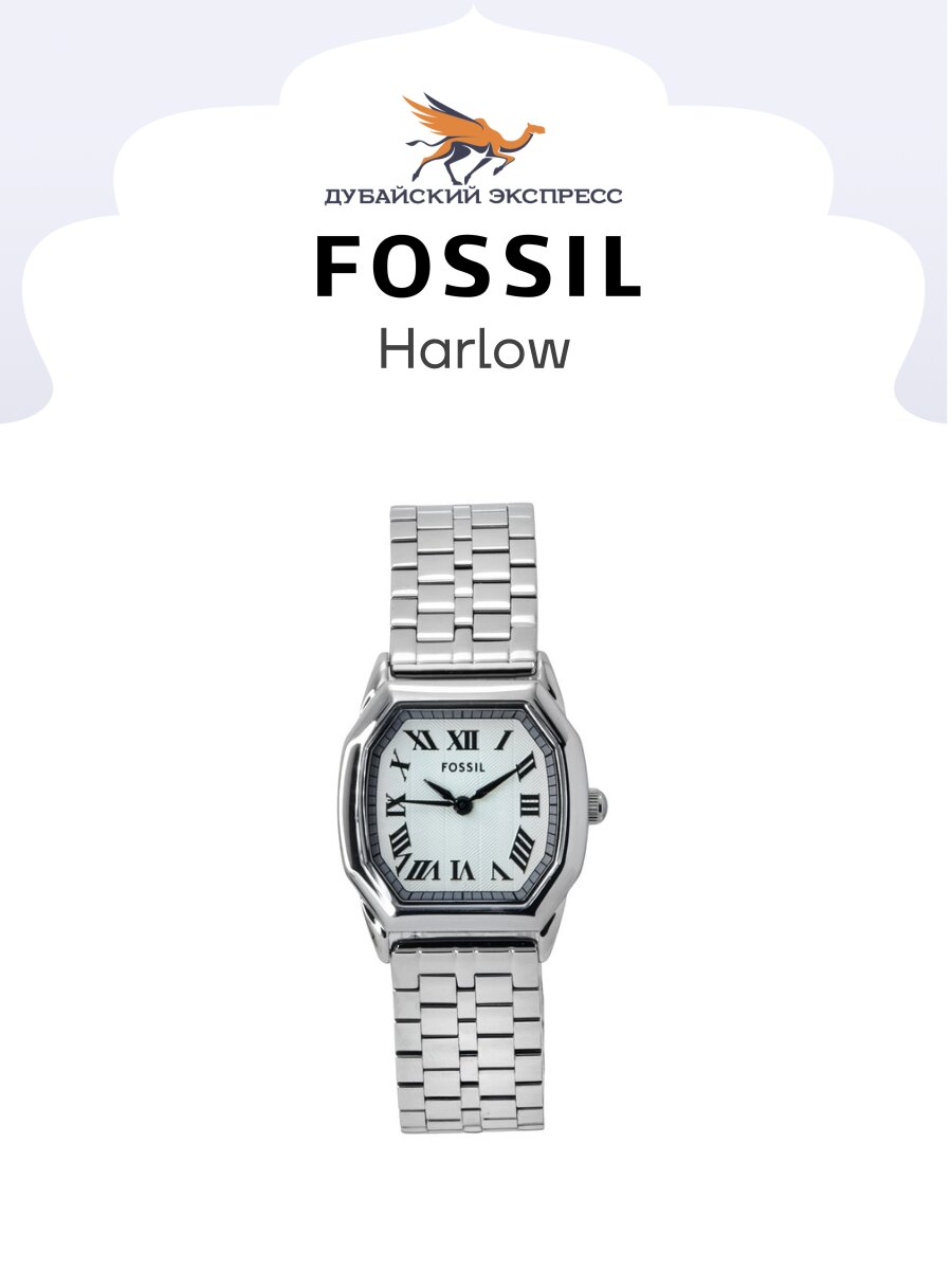  FOSSIL