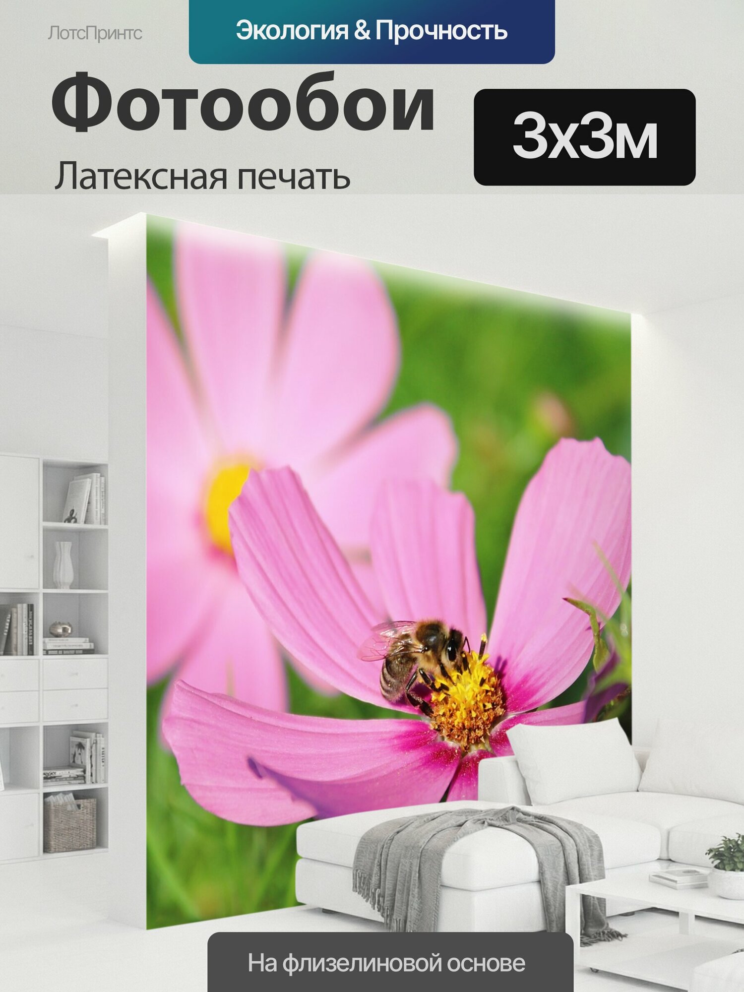Фотообои моющиеся ударопрочные "Цветок, космея цветок, космея" 300x300 см. латексная печать