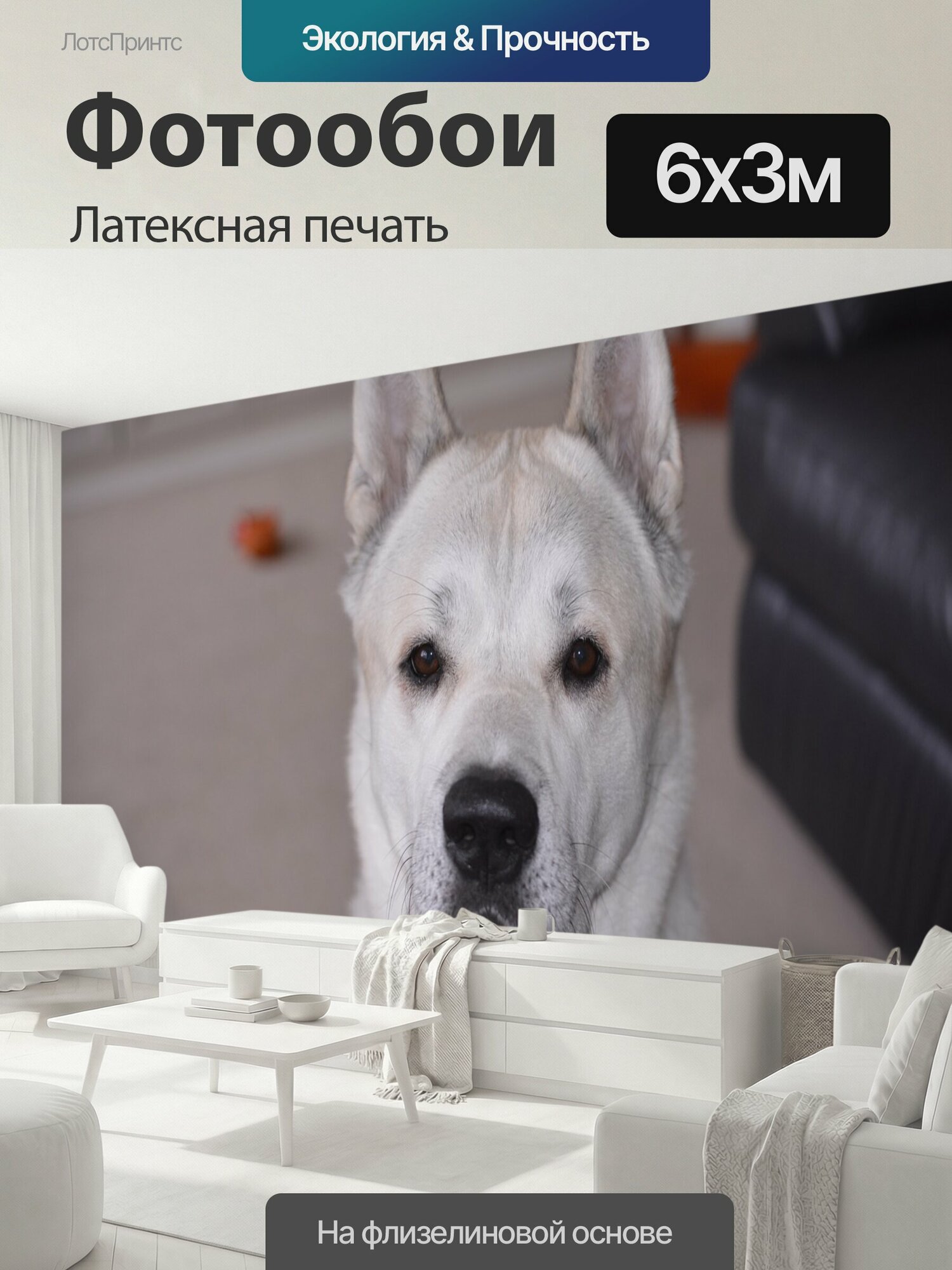 Фотообои моющиеся ударопрочные "Собака, домашний питомец, собачий" 600x300 см. латексная печать