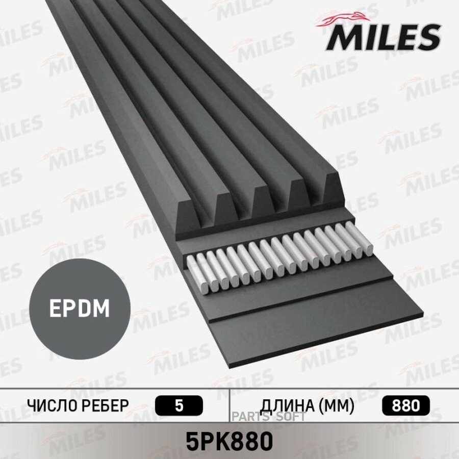 5PK880 MILES Ремень поликлиновый MILES 5PK880 | цена за 1 шт