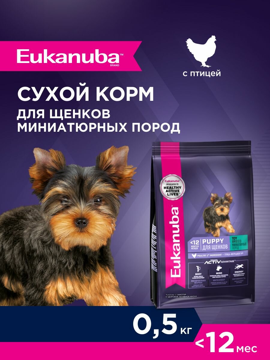 Сухой корм для щенков Eukanuba Puppy Toy Breed для миниатюрных пород с птицей, 500 г щенки миниатюрных пород с птицей