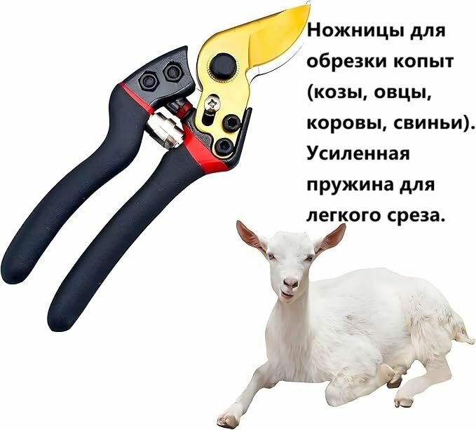 Ножницы для копыт коз, кусачки для ногтей. Подходят для ухода за коровами, овцами и козами. Усиленная пружина для легкого среза.